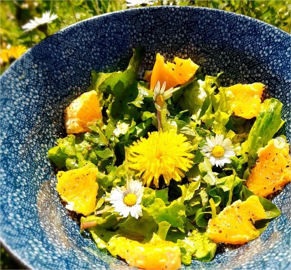 Menu de printemps - Vedarosa